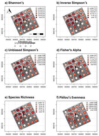 Ensemble Machine Learning for Mapping Tree Species Alpha-Diversity Using Multi-Source Satellite ...