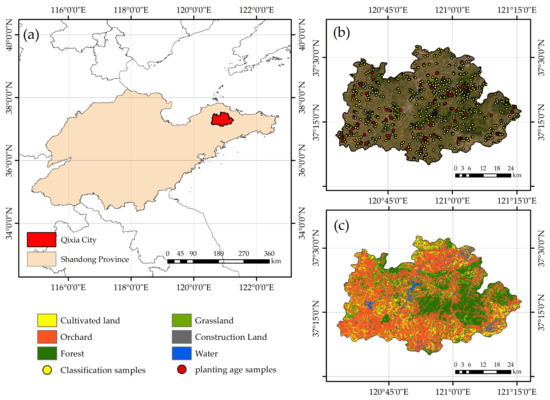 Planting Age Identification and Yield Prediction of Apple Orchard Using ...