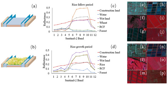 A Bi-Temporal-Feature-Difference- and Object-Based Method for Mapping Rice-Crayfish Fields in ...