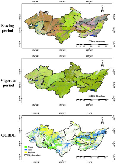 Remote Sensing Crop Recognition by Coupling Phenological Features and ...