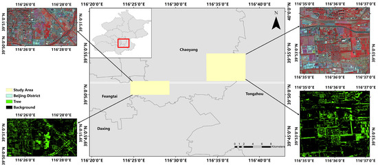 Urban Tree Canopy Mapping Based on Double-Branch Convolutional Neural Network and Multi-Temporal ...
