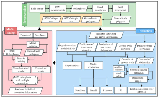 Tree Crown Detection and Delineation in a Temperate Deciduous Forest ...
