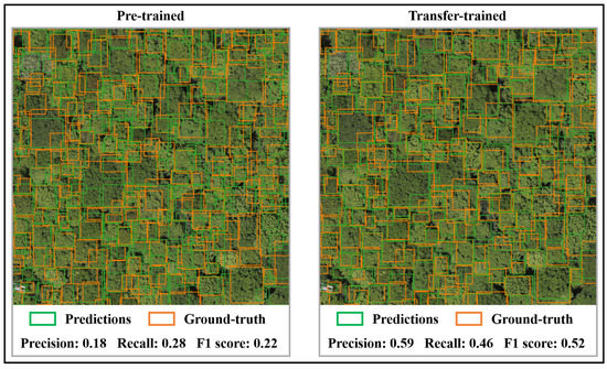 Tree Crown Detection and Delineation in a Temperate Deciduous Forest from UAV RGB Imagery Using ...