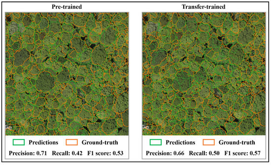 Tree Crown Detection and Delineation in a Temperate Deciduous Forest ...