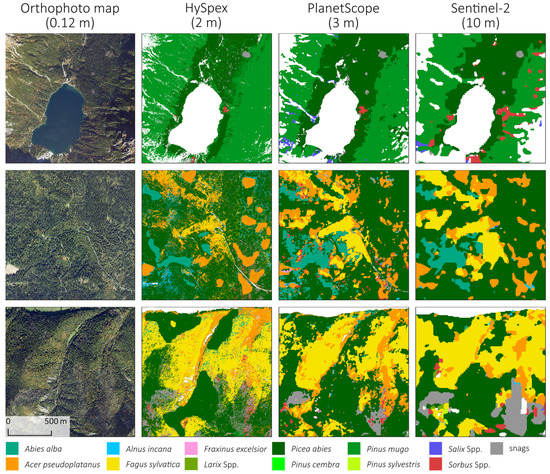 Remote Sensing | Free Full-Text | Mountain Tree Species Mapping Using Sentinel-2, PlanetScope ...