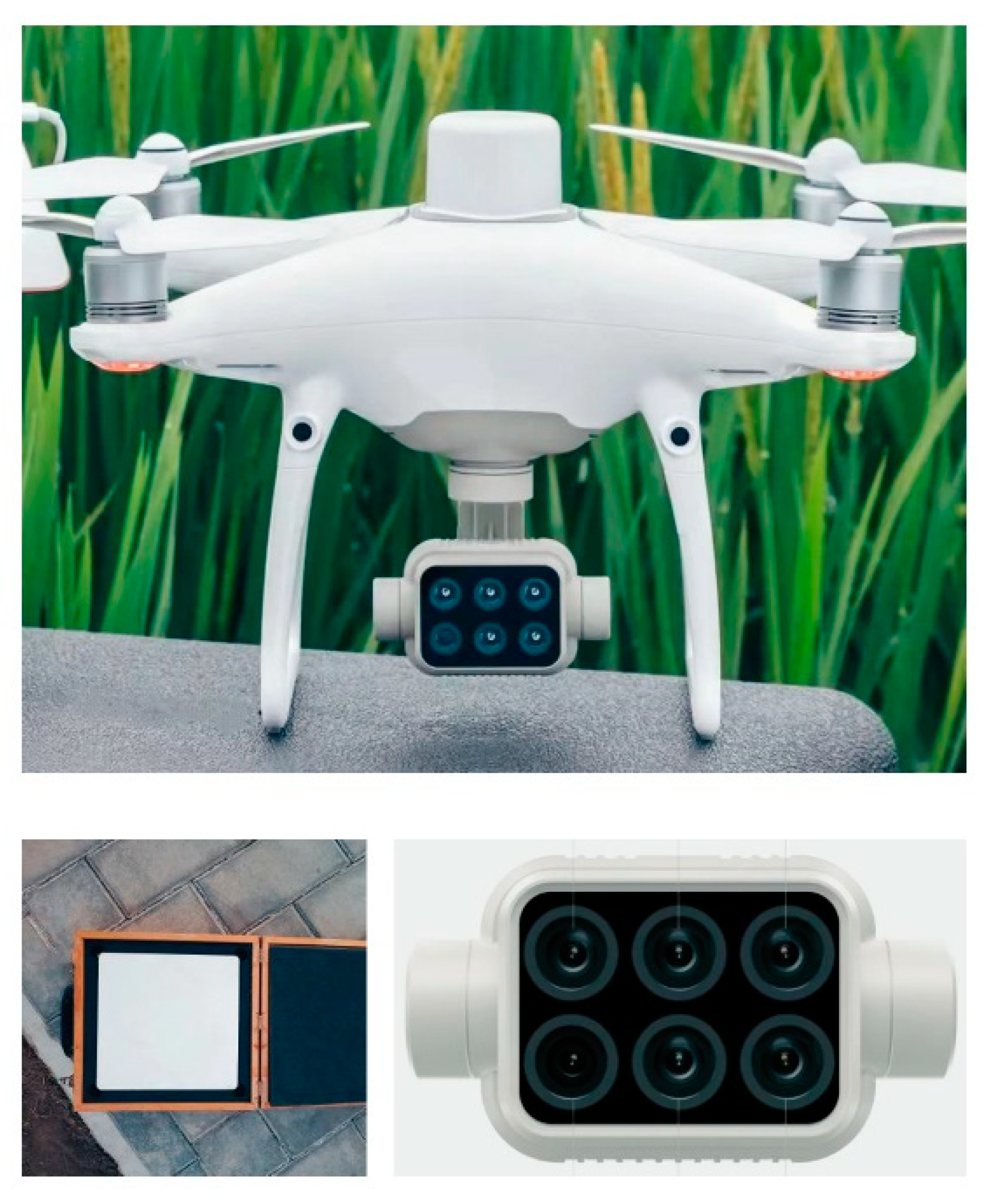 Estimation of Leaf Nitrogen Content in Rice Using Vegetation Indices ...