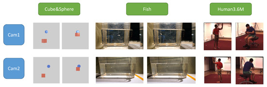 Learning Domain-Adaptive Landmark Detection-Based Self-Supervised Video ...