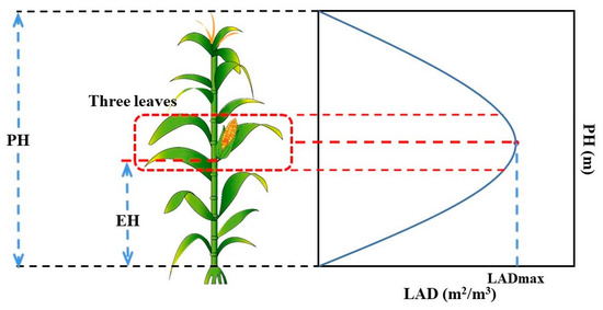 Maize Ear Height and Ear–Plant Height Ratio Estimation with LiDAR Data ...