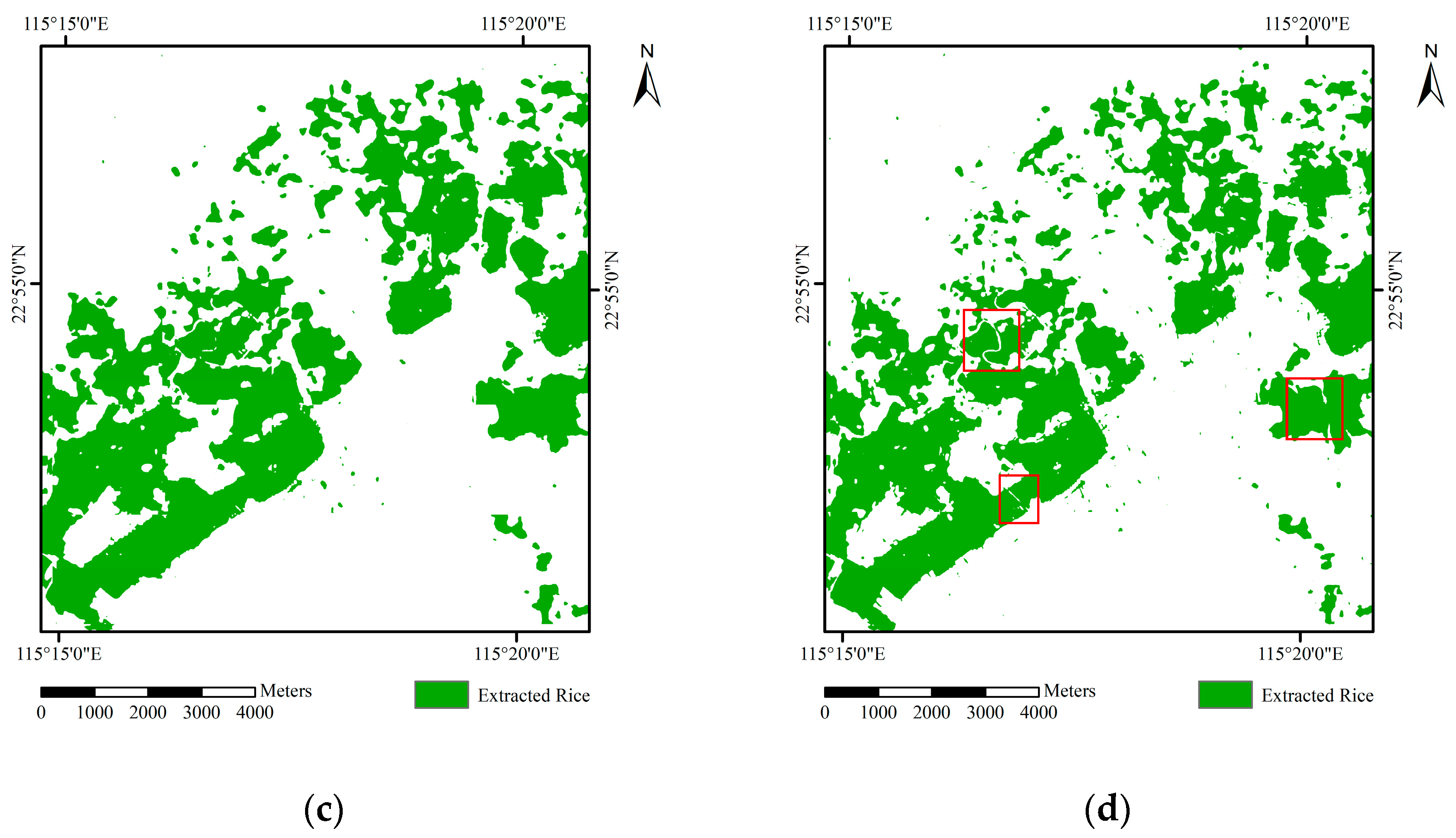 A Physically Interpretable Rice Field Extraction Model for PolSAR Imagery