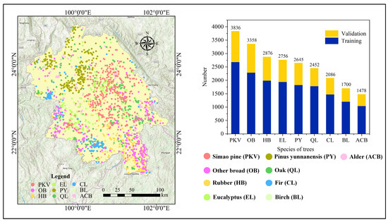 Synergism of Multi-Modal Data for Mapping Tree Species Distribution—A ...