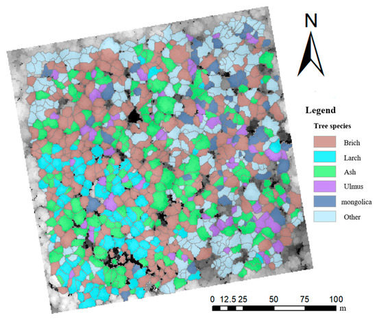 Remote Sensing | Free Full-Text | UAV LiDAR and Hyperspectral Data ...
