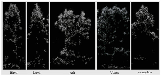 UAV LiDAR and Hyperspectral Data Synergy for Tree Species Classification in the Maoershan Forest ...