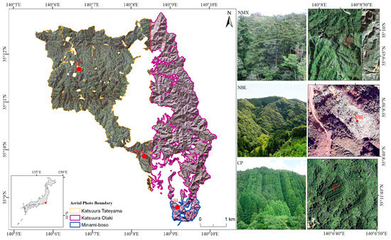 Application of a Novel Multiscale Global Graph Convolutional Neural ...