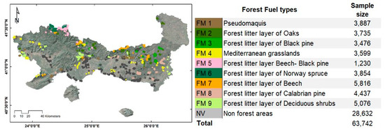 Vegetation Fuel Mapping at Regional Scale Using Sentinel-1, Sentinel-2 ...