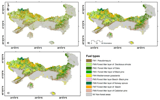 Remote Sensing | Free Full-Text | Vegetation Fuel Mapping at Regional ...