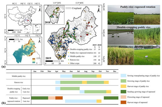 Mapping Diverse Paddy Rice Cropping Patterns in South China Using Harmonized Landsat and ...