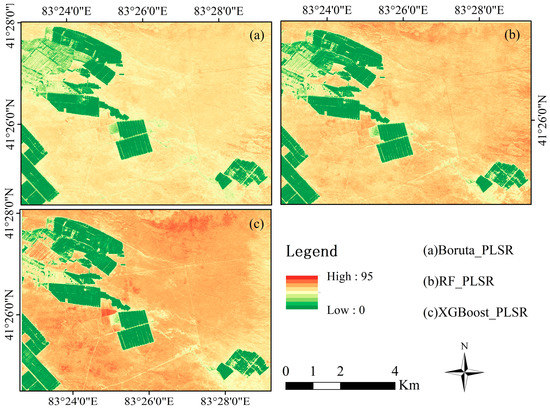 Exploring PlanetScope Satellite Capabilities for Soil Salinity ...