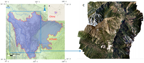 Lightweight Landslide Detection Network for Emergency Scenarios