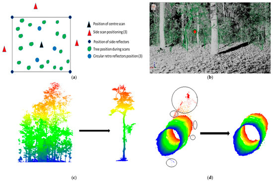 Aboveground Forest Biomass Estimation by the Integration of TLS and ...