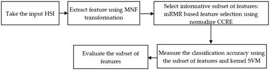Hyperspectral Image Classification via Information Theoretic Dimension ...