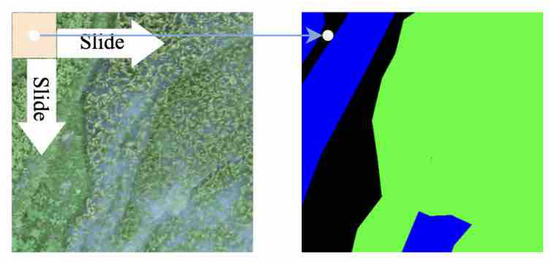 CTFuseNet: A Multi-Scale CNN-Transformer Feature Fused Network for Crop Type Segmentation on UAV ...