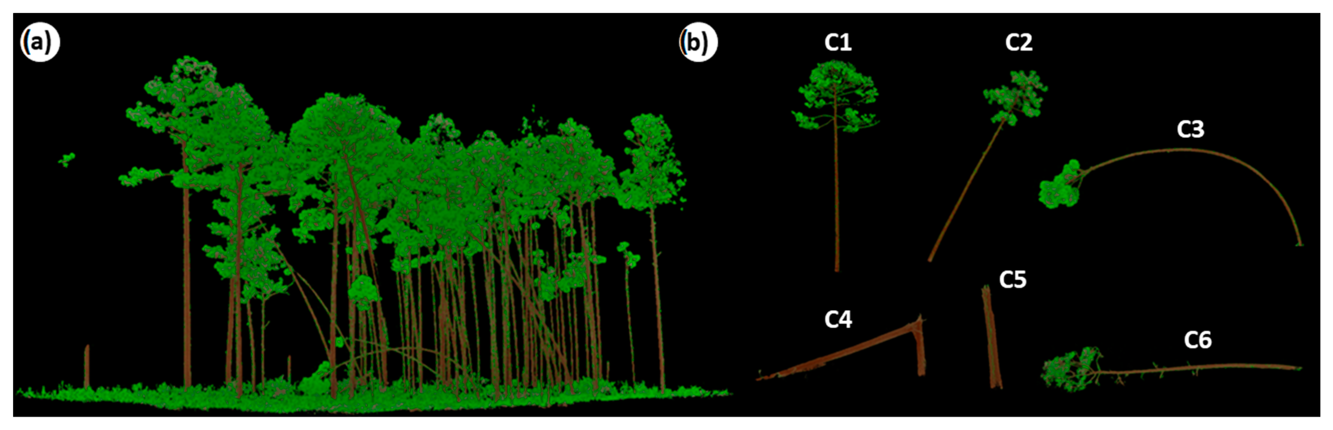 Remote Sensing | Free Full-Text | Post-Hurricane Damage Severity ...