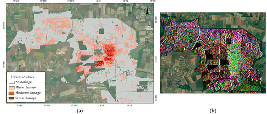 Monitoring Ash Dieback in Europe—An Unrevealed Perspective for Remote ...