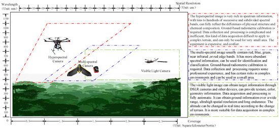 Recognition of Abnormal Individuals Based on Lightweight Deep Learning ...