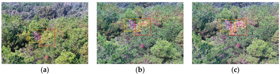 Recognition of Abnormal Individuals Based on Lightweight Deep Learning ...