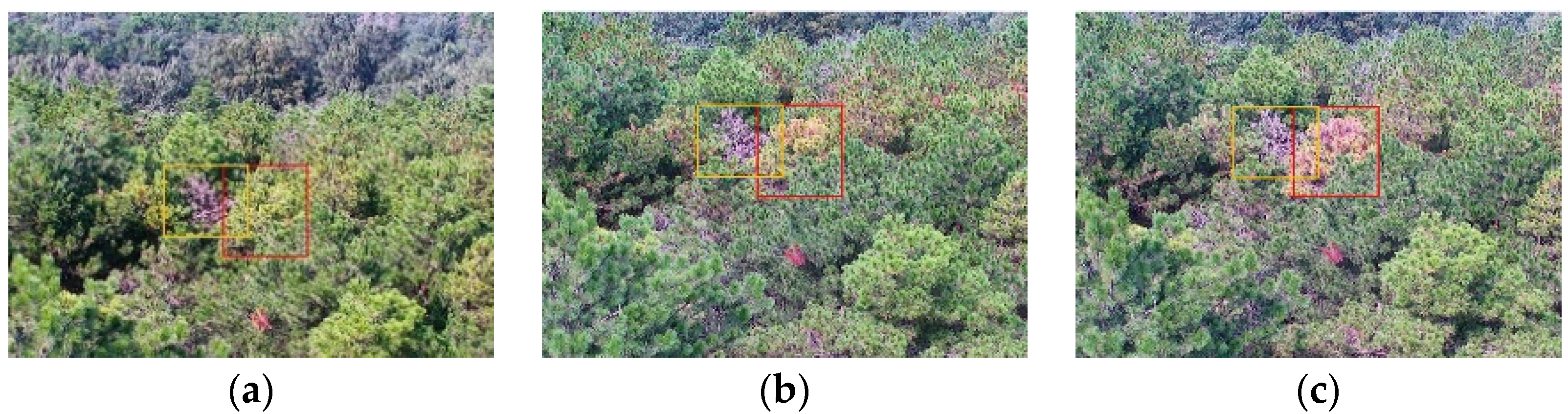 Recognition of Abnormal Individuals Based on Lightweight Deep Learning ...