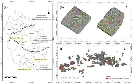 Recognition of Abnormal Individuals Based on Lightweight Deep Learning ...