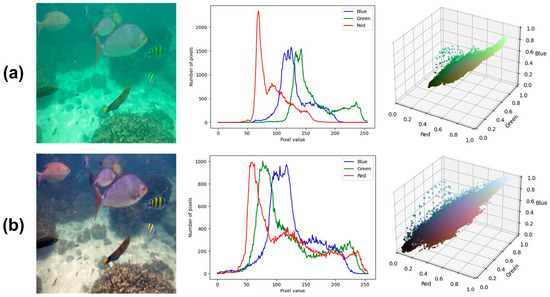 DBFNet: A Dual-Branch Fusion Network for Underwater Image Enhancement