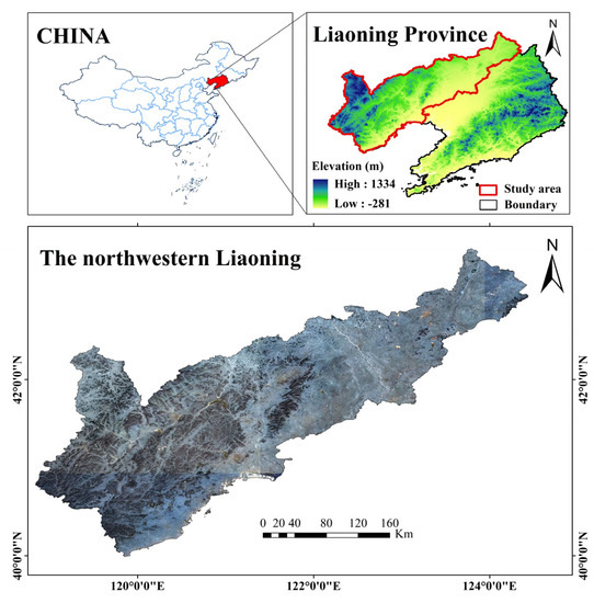 Mapping the Distribution and Dynamics of Coniferous Forests in Large ...