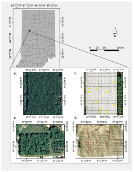 A Robust Stepwise Clustering Approach to Detect Individual Trees in ...