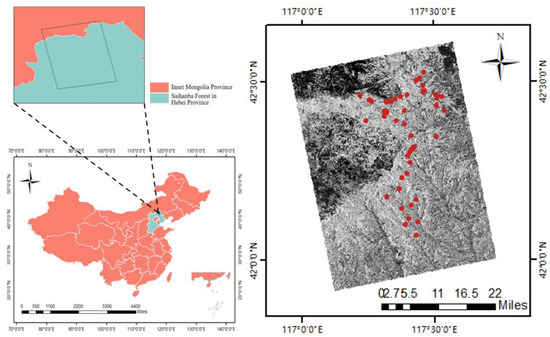 Combining Multi Dimensional Sar Parameters To Improve Rvog Model For