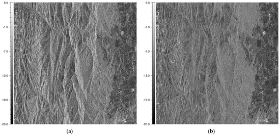SAR Radiometric Calibration Based on Differential Geometry: From Theory ...