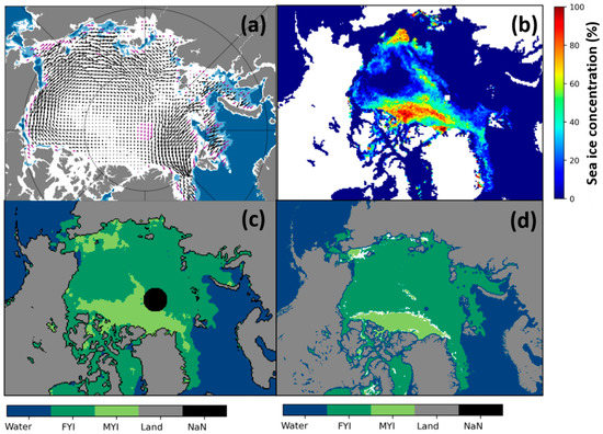 Classification of Arctic Sea Ice Type in CFOSAT Scatterometer Measurements Using a Random Forest ...