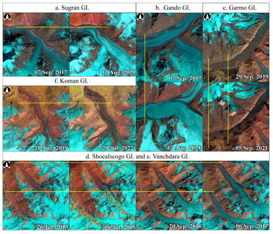 Characteristics of Glaciers Surging in the Western Pamirs