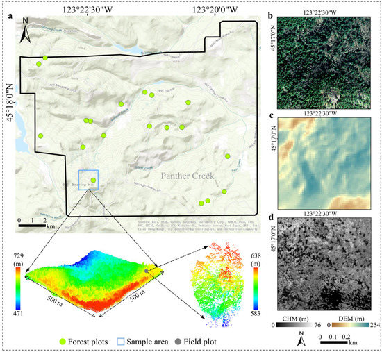 Tree Species Classification And Individual Tree Biomass Model Construction Based On