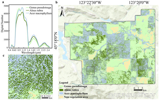 Tree-Species Classification and Individual-Tree-Biomass Model ...