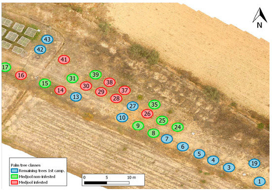 Red Palm Weevil Detection in Date Palm Using Temporal UAV Imagery