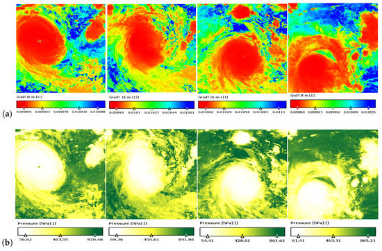 New Investigation of a Tropical Cyclone: Observational and Turbulence Analysis for the Faraji ...