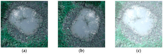 A Depth-Wise Separable U-Net Architecture with Multiscale Filters to Detect Sinkholes