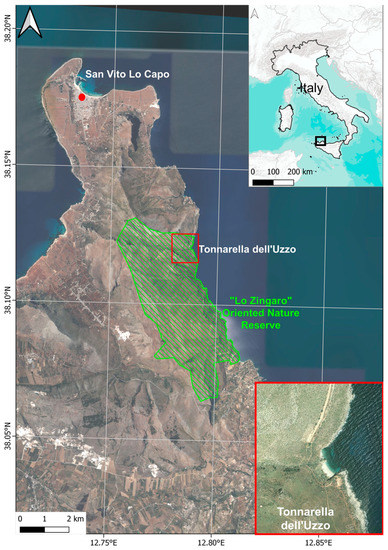 Remote Sensing | Free Full-Text | Analysis of the Rockfall Phenomena ...