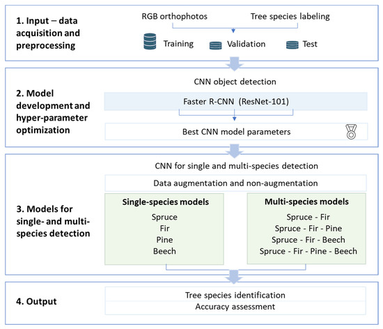 Individual Tree Crown Detection And Species Identification In
