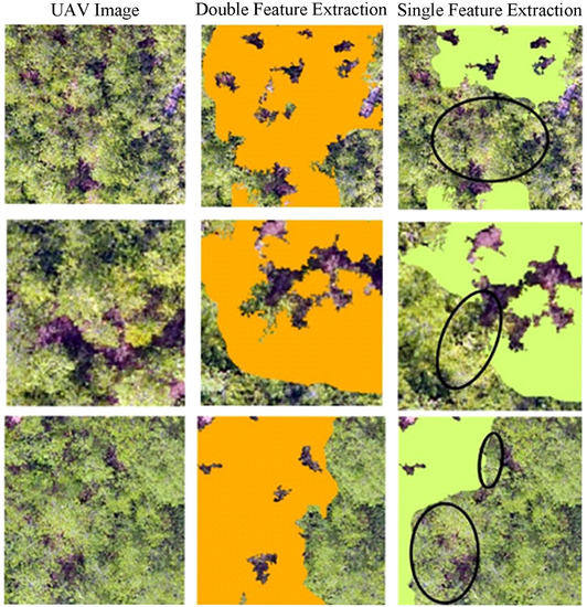 Recognition of Area without Understory Vegetation Based on the RGB-UAV ...