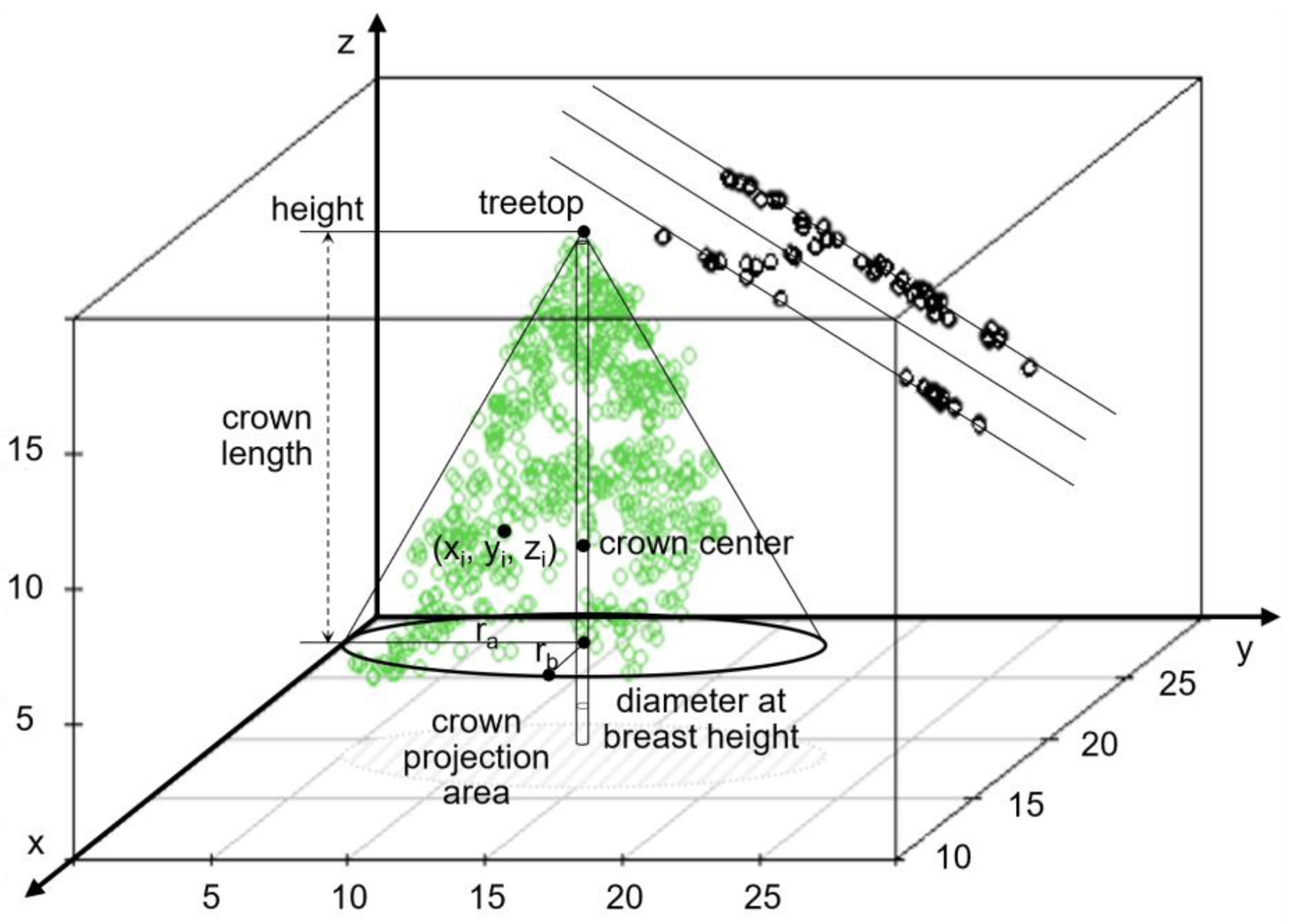 Measuring the Distance between Trees and Power Lines under Wind Loads ...
