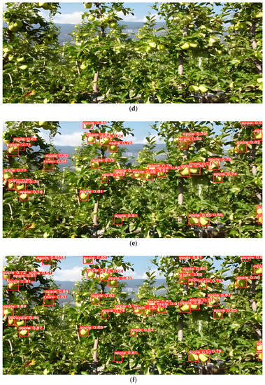 Deep Learning-Based Apple Detection with Attention Module and Improved ...