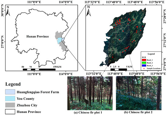 Remote Sensing | Free Full-Text | Evaluating the Sensitivity of Polarimetric Features Related to ...