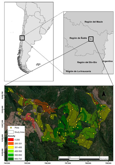 Comparison of Errors Produced by ABA and ITC Methods for the Estimation of Forest Inventory ...